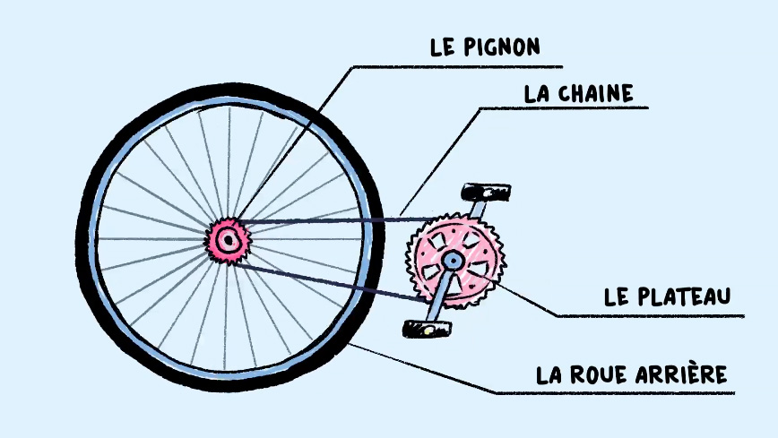 Comment Fonctionne Les Vitesses D'un Vélo - Meyers Nobbland